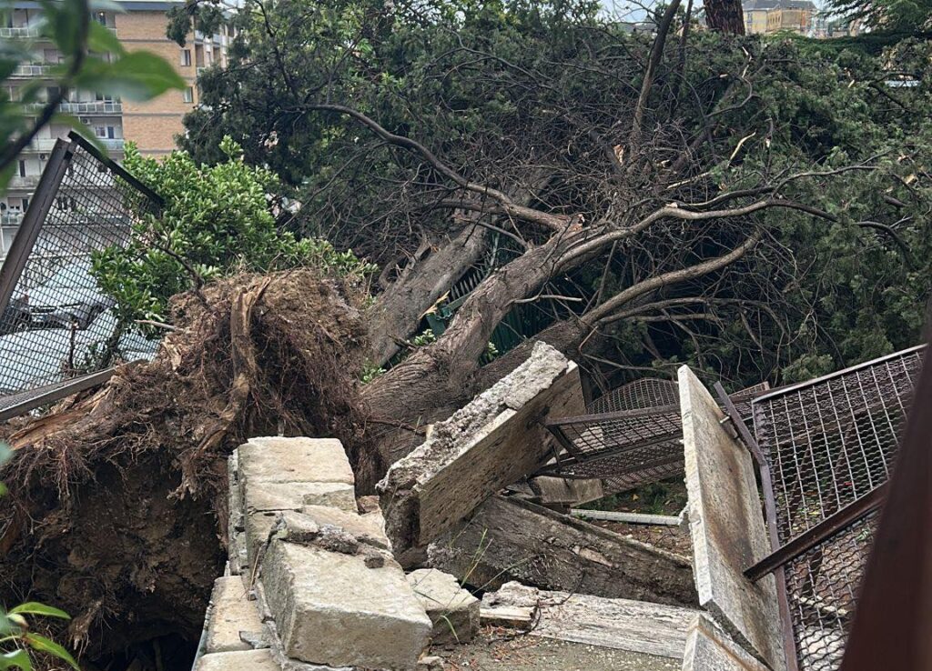 Tromba d’aria a Roma: decine di alberi crollati, danni ingenti e feriti ...