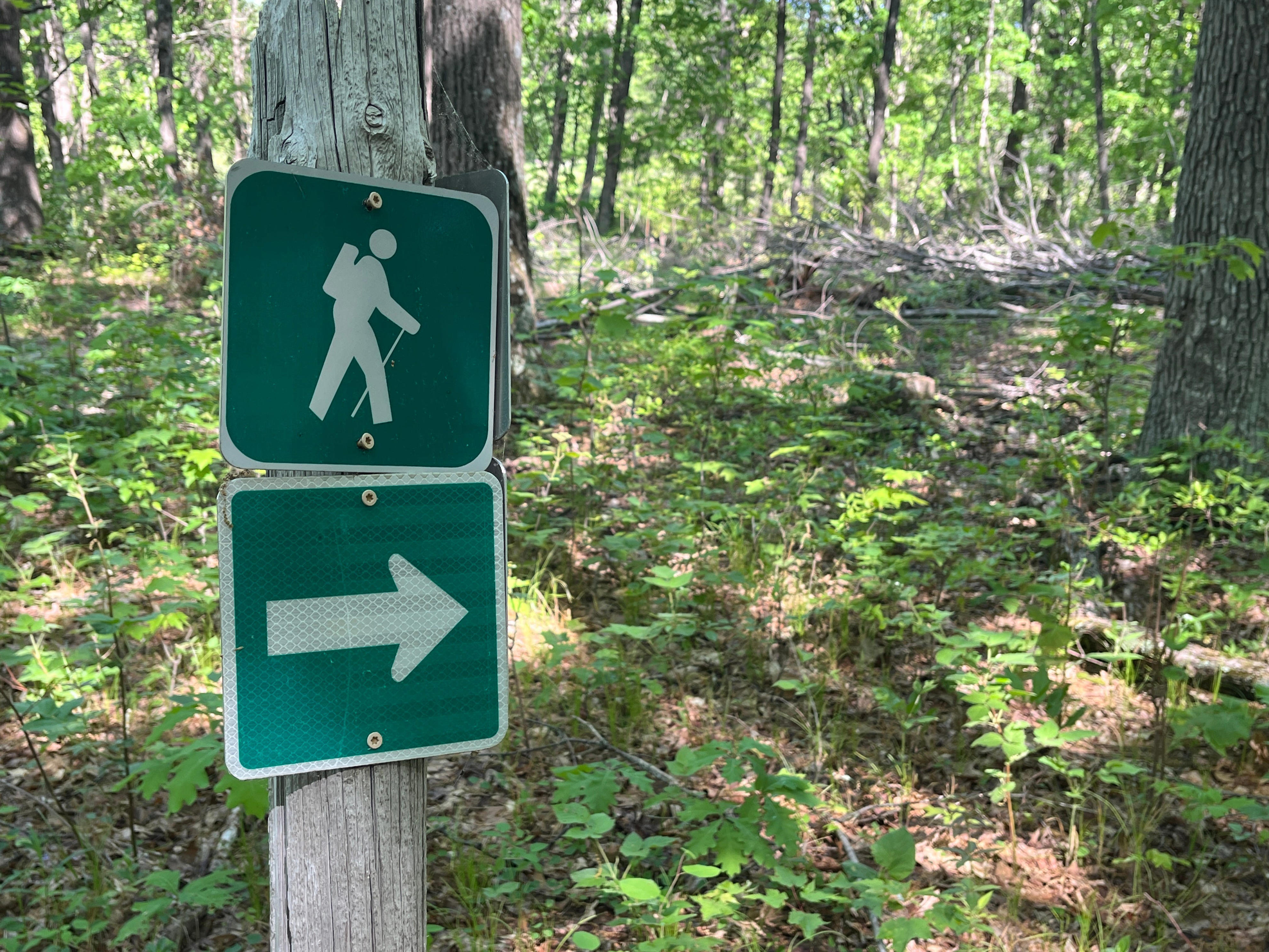 Illinois celebrates National Trails Day with special hikes, stickers