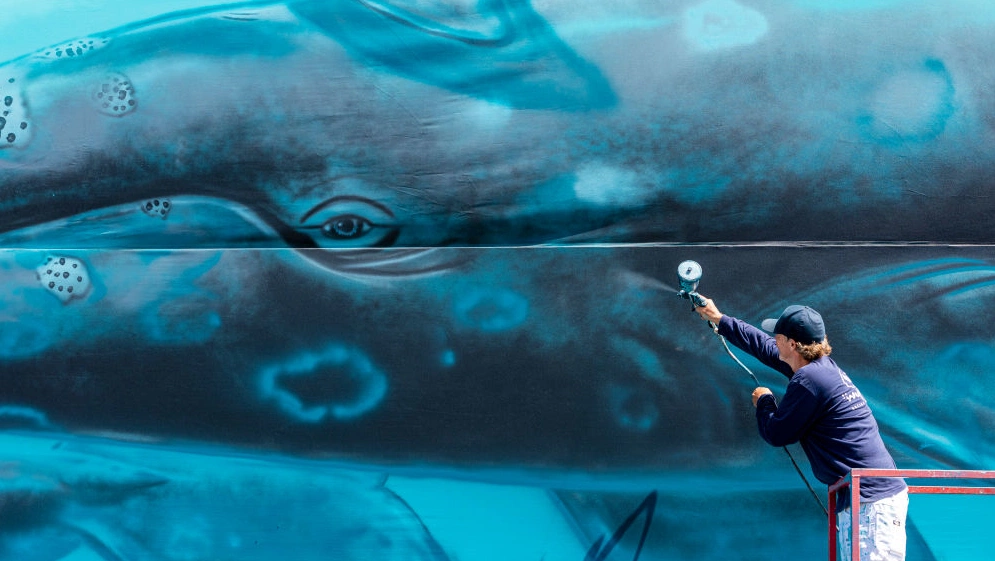 Wyland sues FIFA for $25M over Dallas mural removal