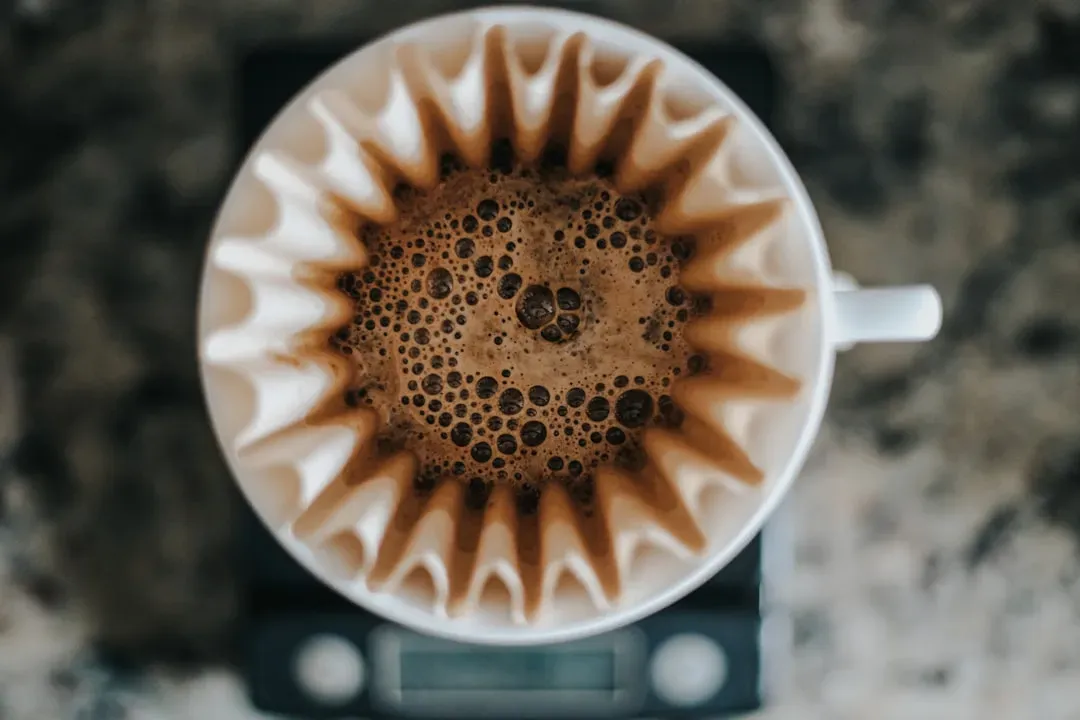 Why using cold water to brew your morning coffee is a critical flavor ...