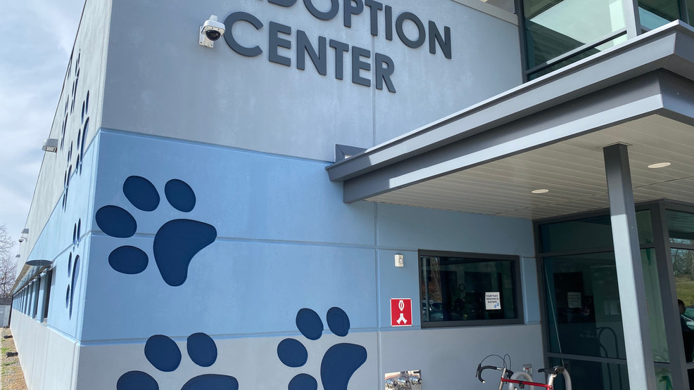 BARCS lands $3,000 grant to keep Baltimore’s kittens warm