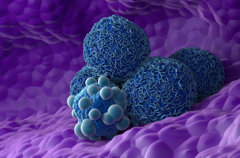 New drug nearly doubles survival time for patients with pancreatic ...