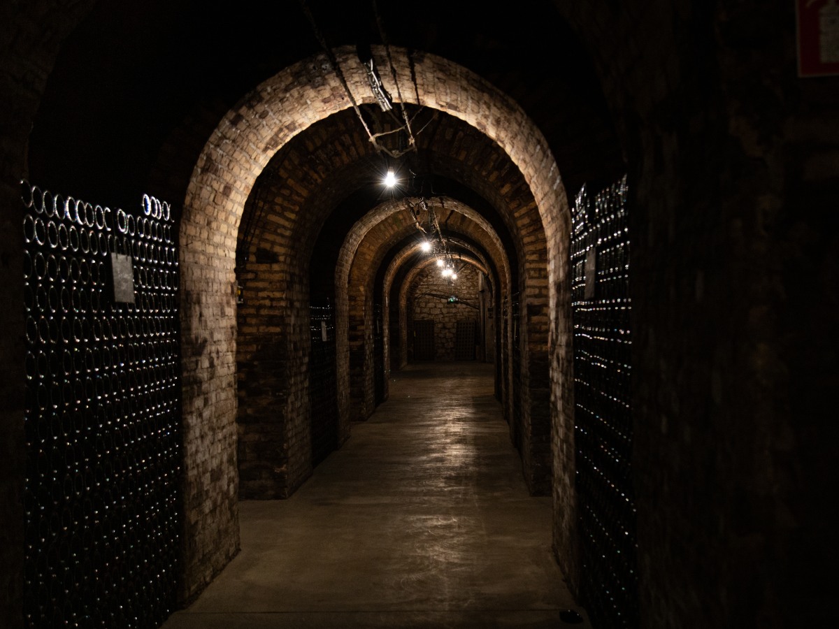 La Georgia apre la cantina segreta di Stalin: all’asta 40mila bottiglie ...