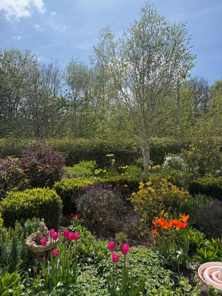 Marie Curie Hospice celebrates open gardens in Solihull this June
