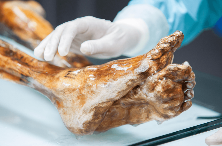5,300-year-old microbes from Ötzi the Iceman are still showing signs of ...
