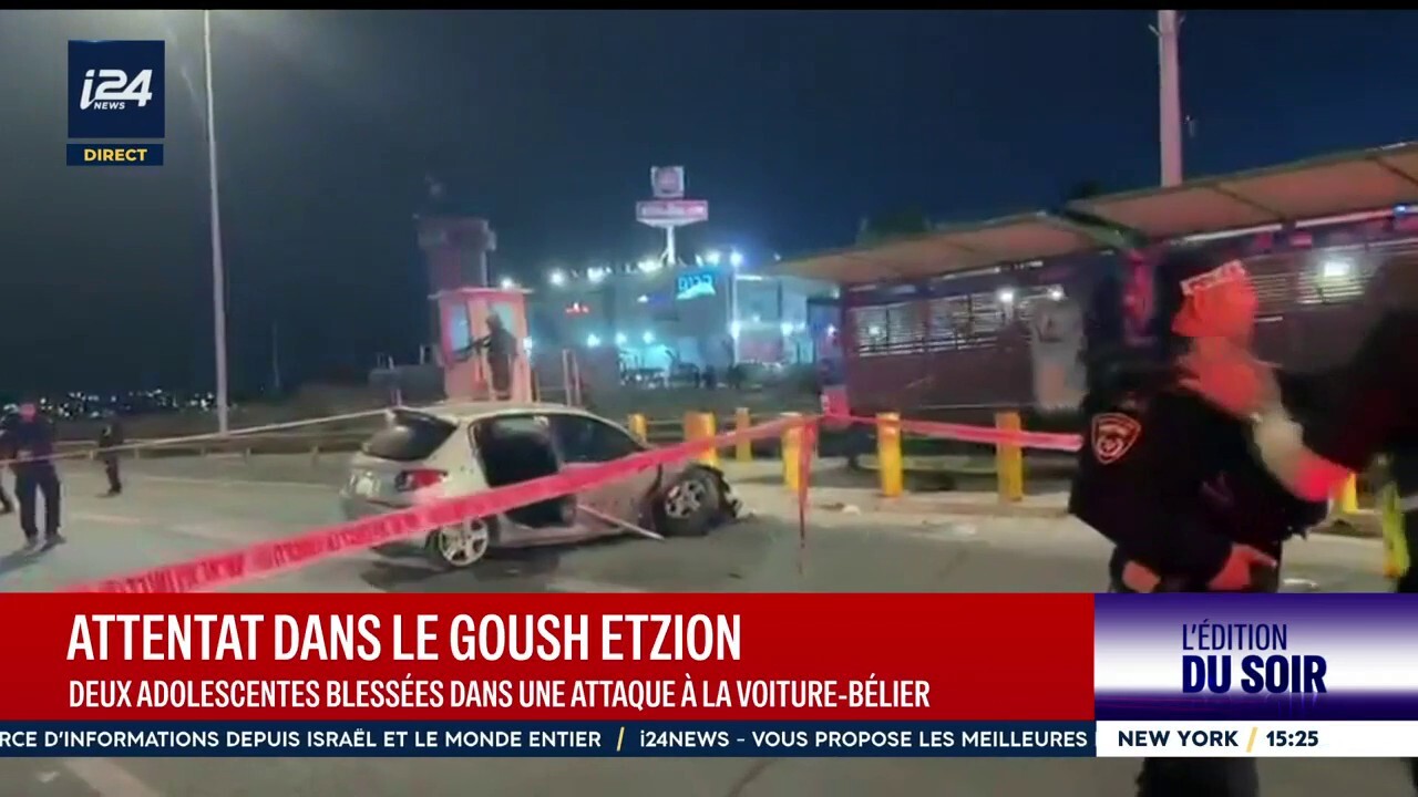 Un adolescent israélien arrêté après l’agression d’un chien en Judée ...