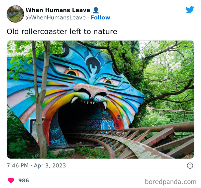 34 fascinating abandoned locations where nature is reclaiming the land
