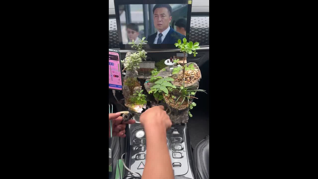 Chinese taxi driver wows passengers with fish tank and bonsai tree ...
