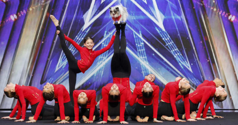 'AGT' season 21's Acro Canine Crew earns golden buzzer as adorable ...