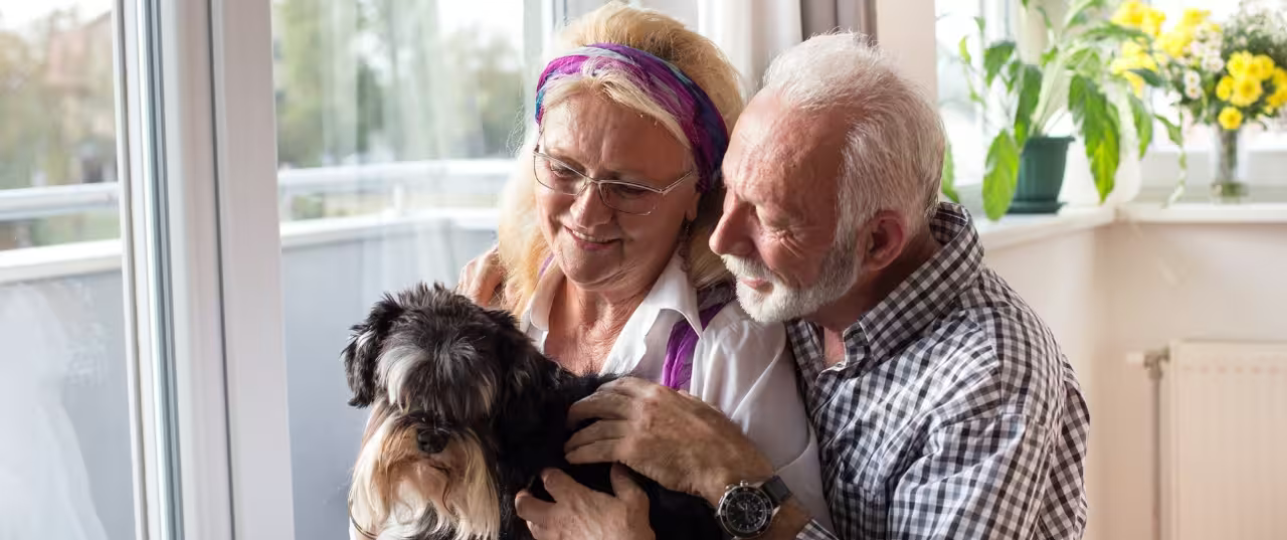 5 rustige hondenrassen die perfect zijn voor senioren