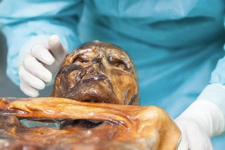 Scientists use yeast from mummified iceman corpse to make 'very good ...