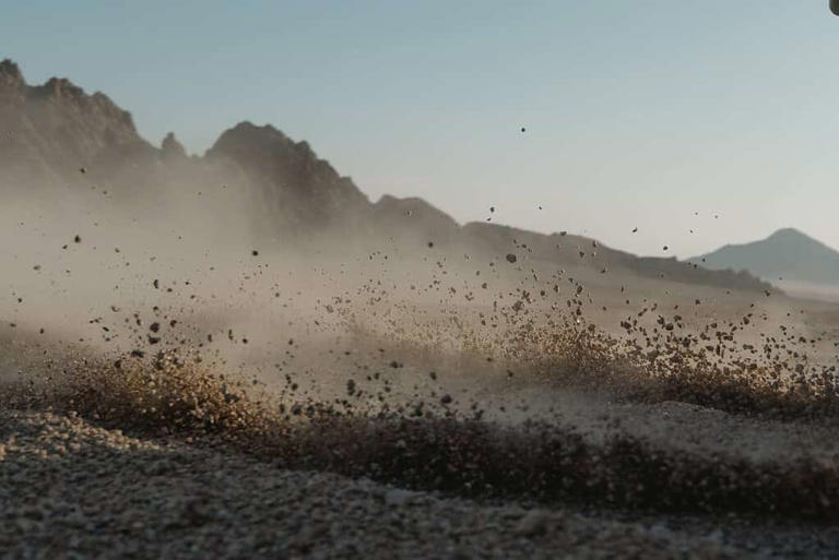 Starving plants are bypassing soil entirely by absorbing airborne dust ...