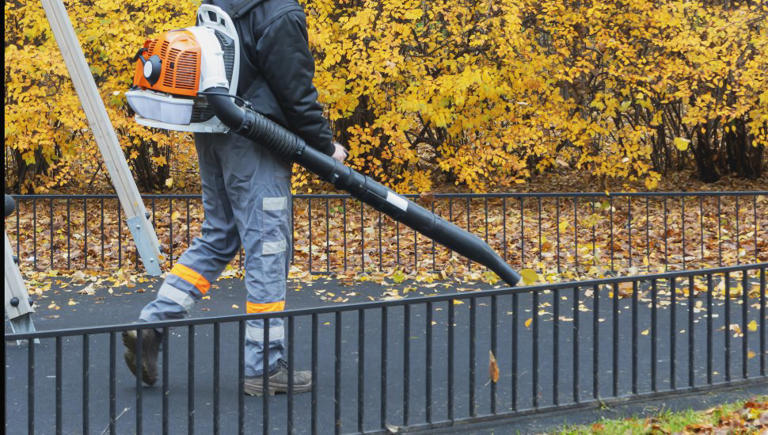 Lower Merion banned gas-powered leaf blowers. Now residents are ...