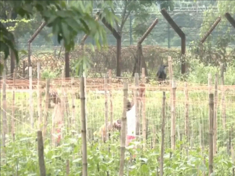West Bengal hands over 32 acres to BSF for Bangladesh border fencing