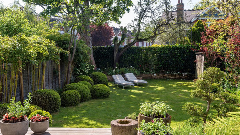 Neighbours overlooking your garden? These privacy trees can fix the problem