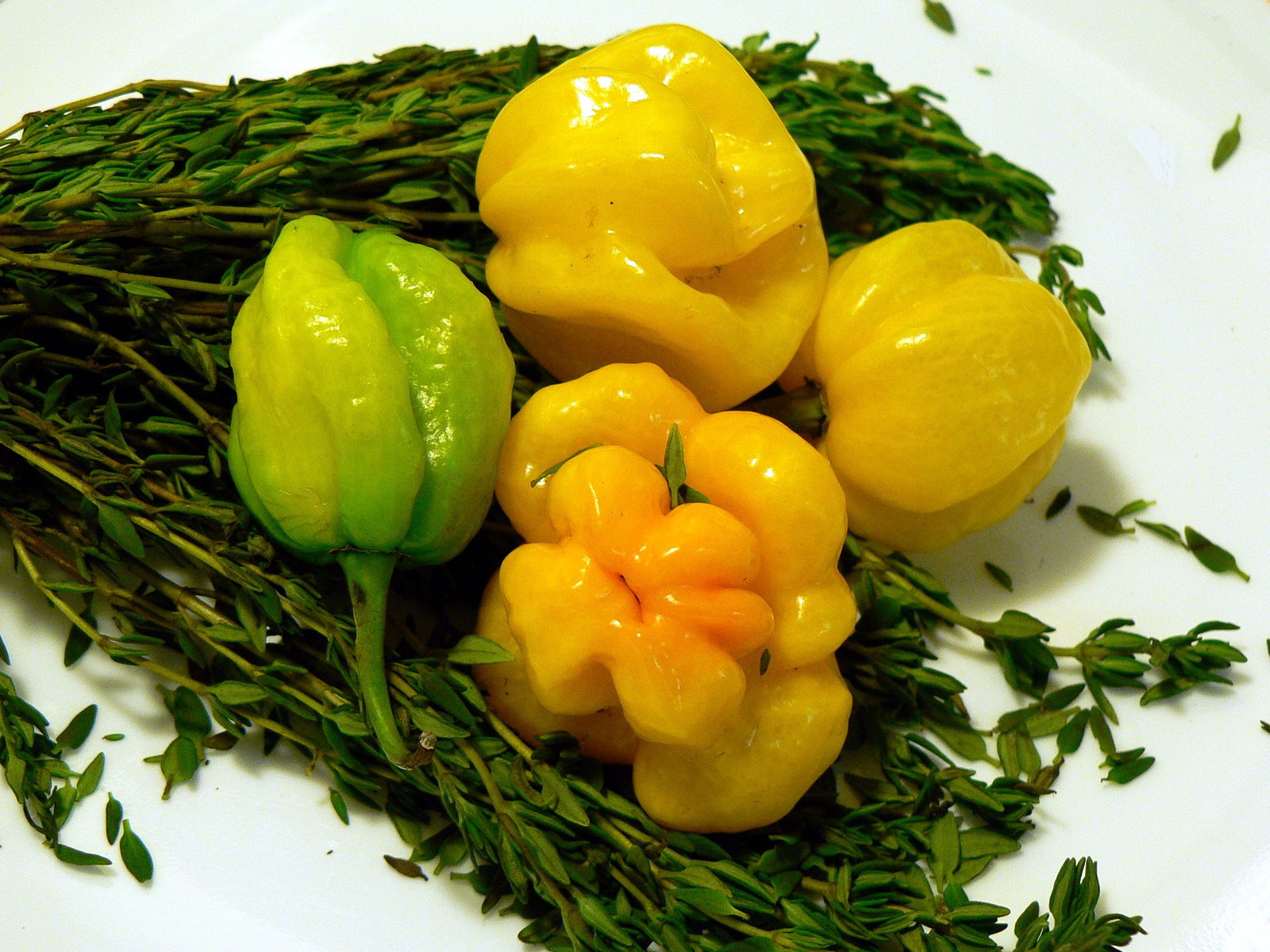 A scotch bonnet pepper shortage has the Caribbean hot sauce industry in ...