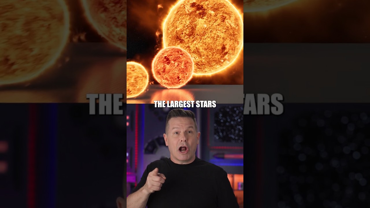 Discover the most massive stars ever found in our universe