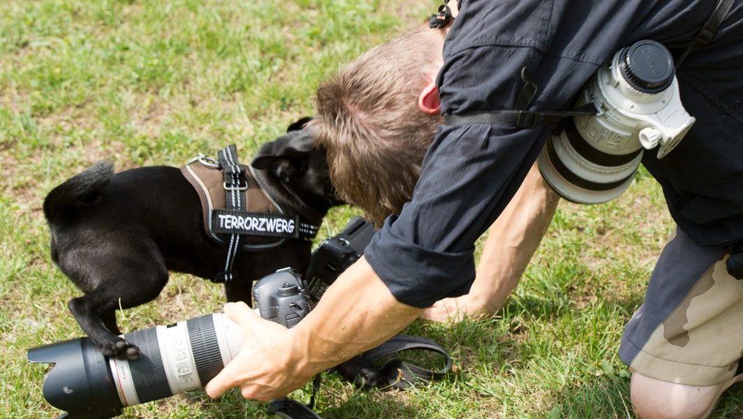 Make your dog the star of every photo