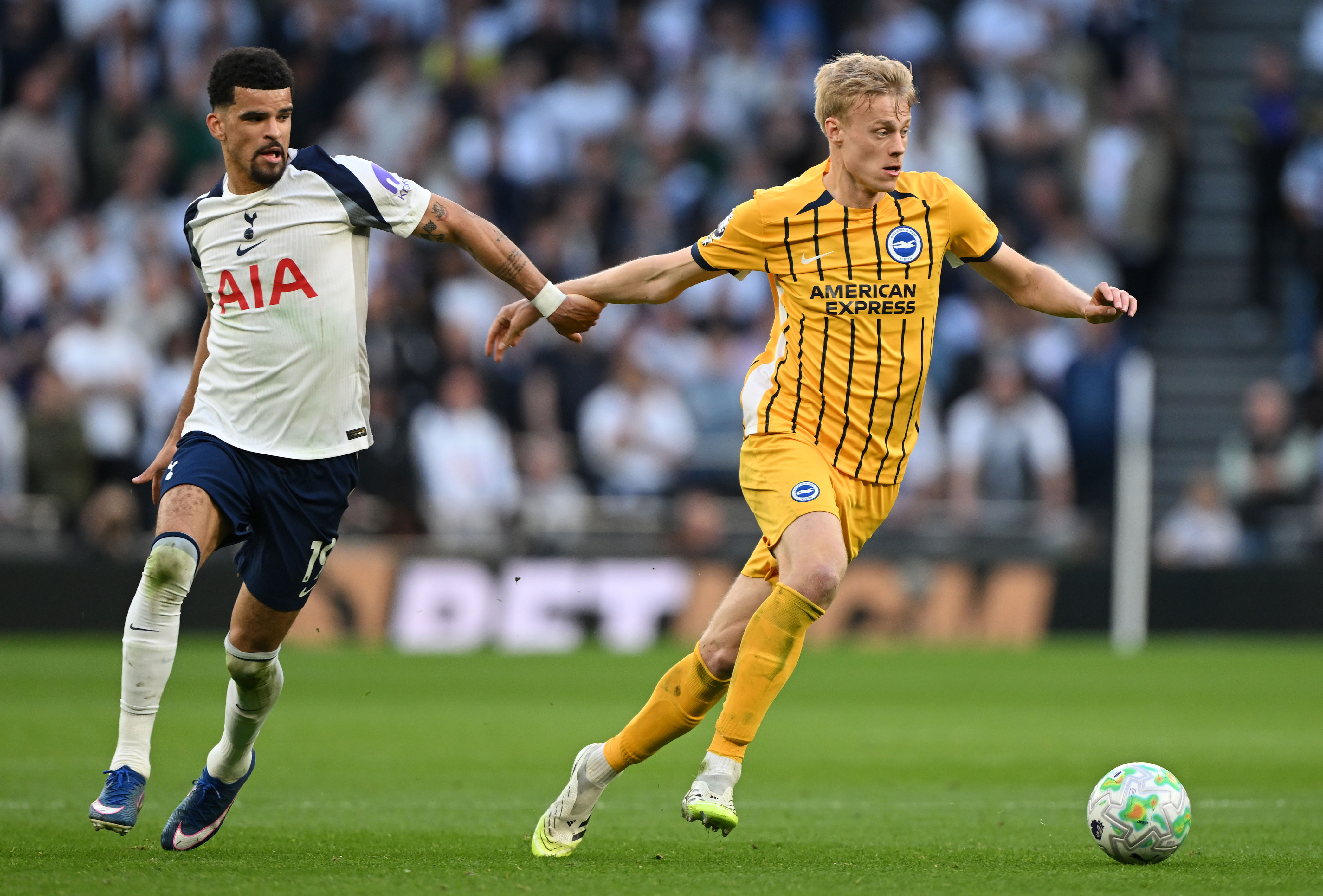 De Zerbi told to name new Spurs captain and sign Senesi alternative