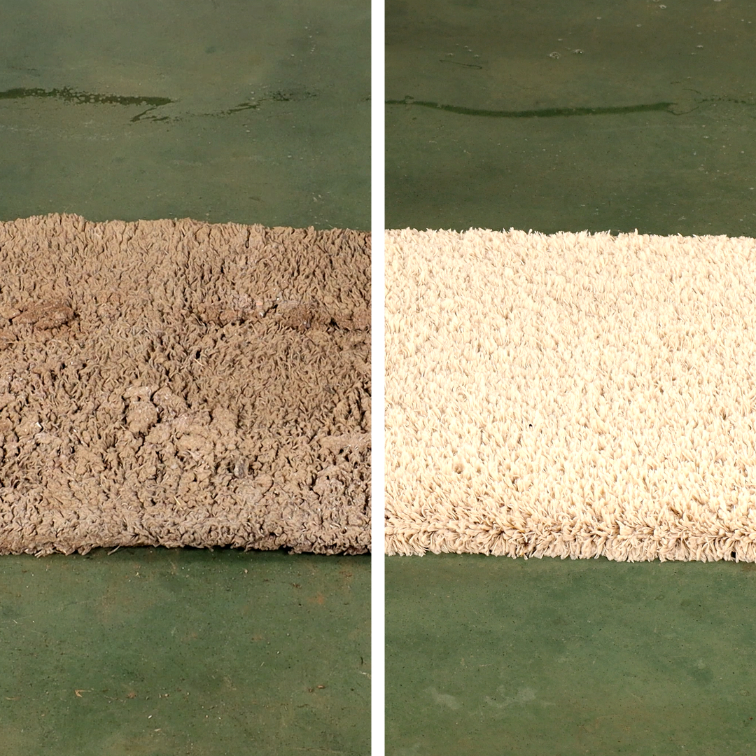 A satisfying rug cleaning transformation! 💦