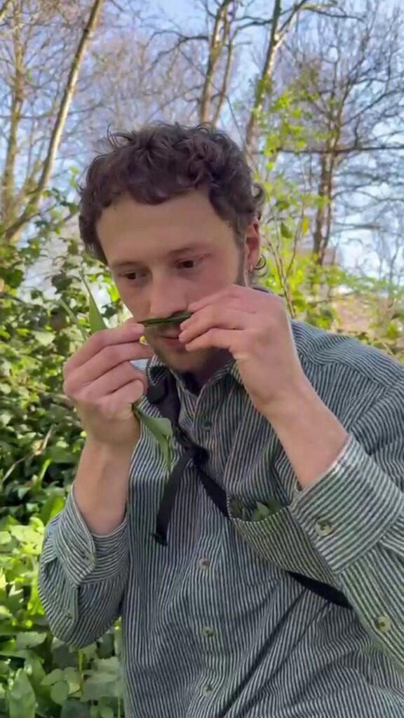 Man saves £400 a month by foraging food in London parks and cemeteries