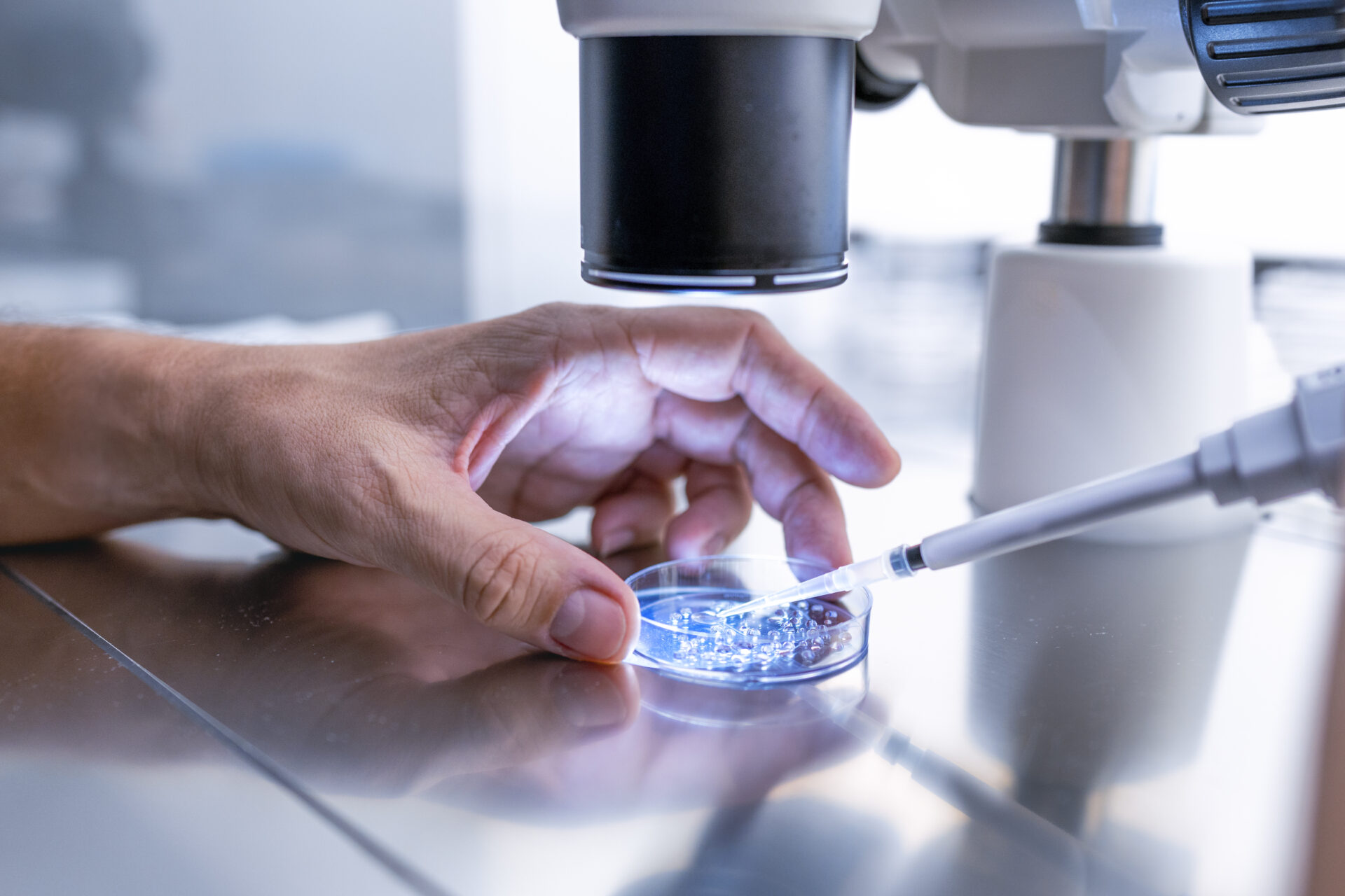 China sends artificial embryos into space to study their development