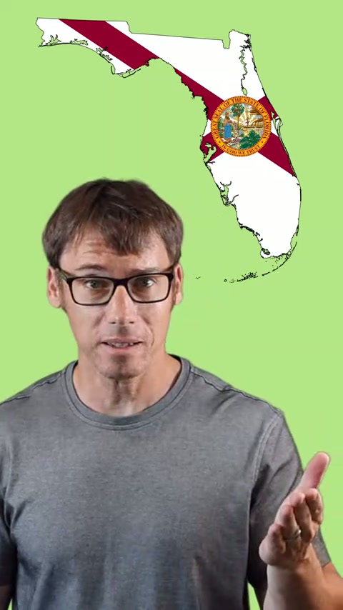 Wild chickens in Miami?