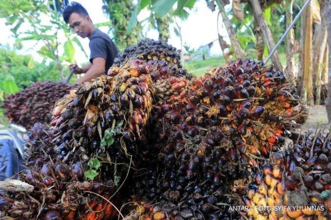 TPOMI 2026 Dorong Pabrik Kelapa Sawit Beralih ke Teknologi Cerdas dan ...