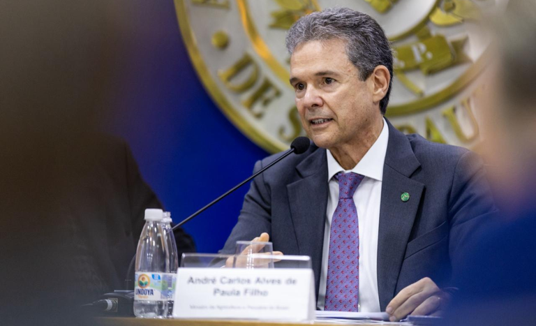 Plano Safra 2026/27 pode chegar a R$ 550 bilhões com juros abaixo de 10%