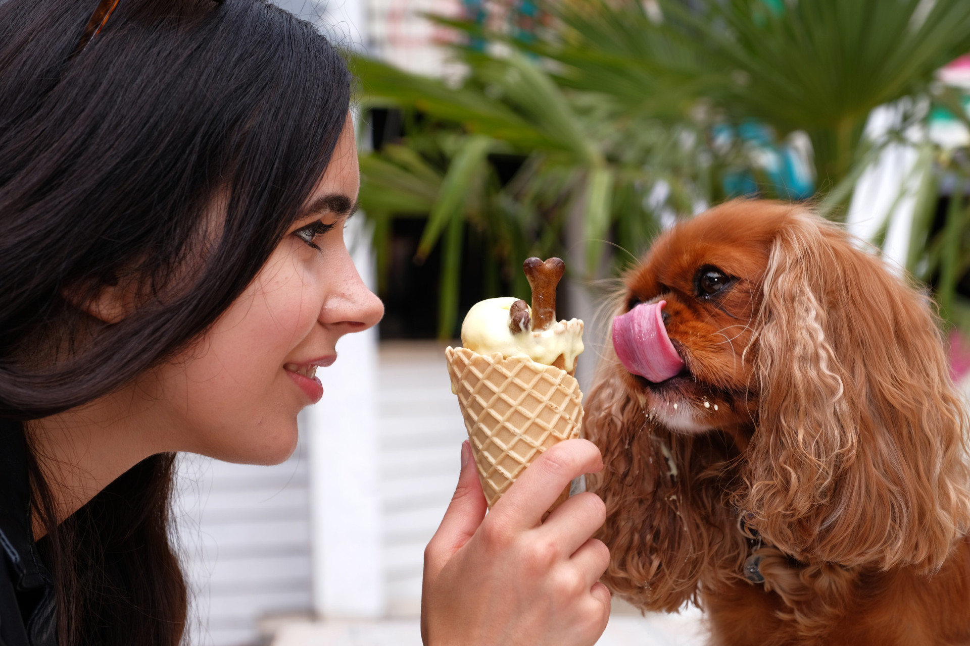 The best and worst human foods to feed your dog