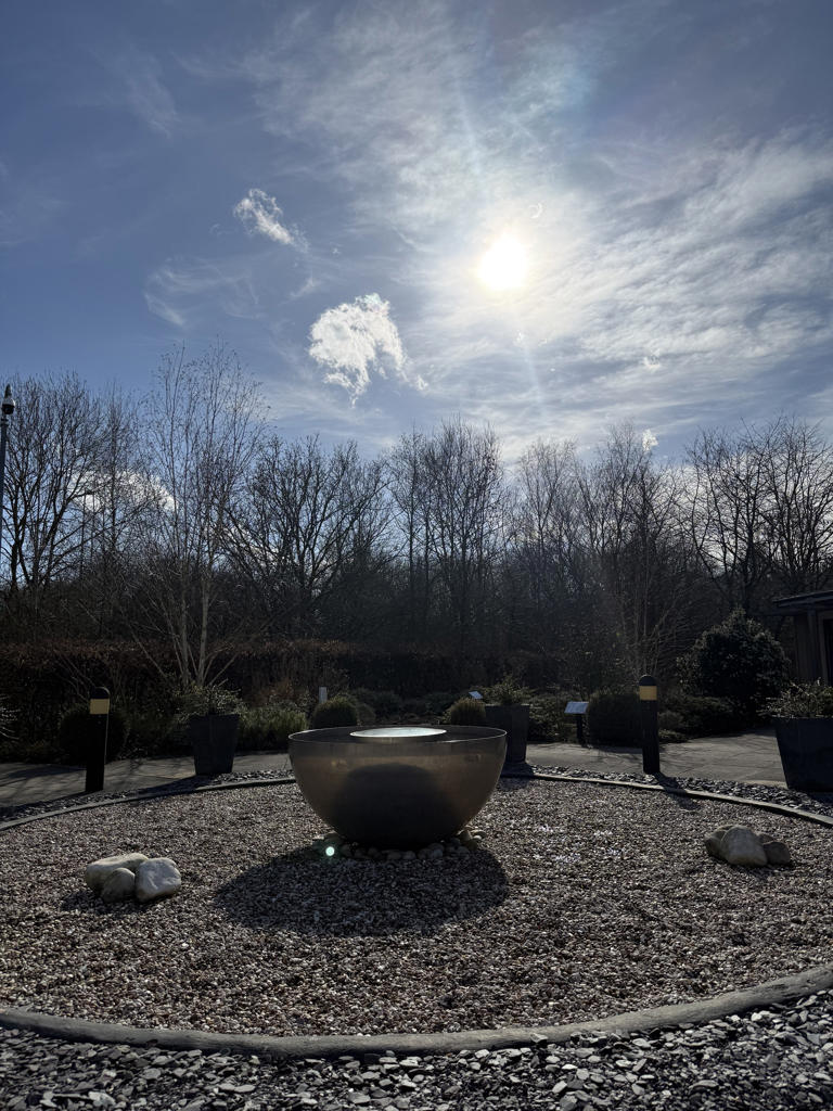 Marie Curie Hospice celebrates open gardens in Solihull this June