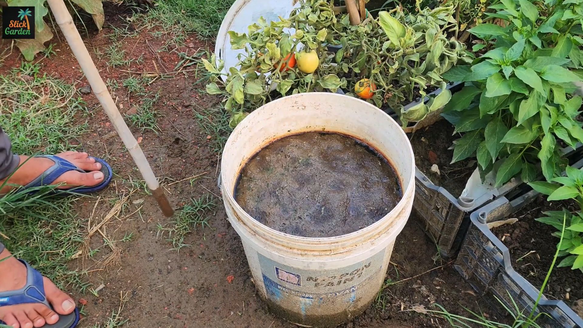 Stop buying fertilizer! Make this nutrient-rich garden mix