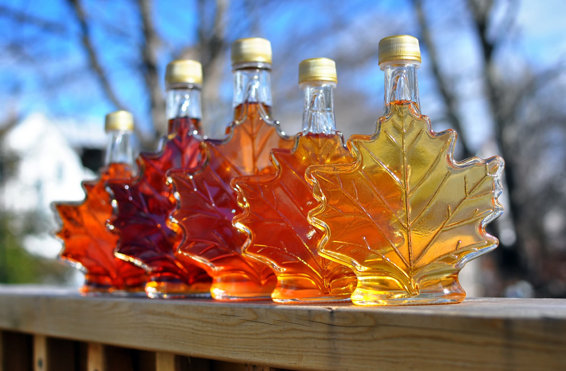 10 things Canada is known for around the world