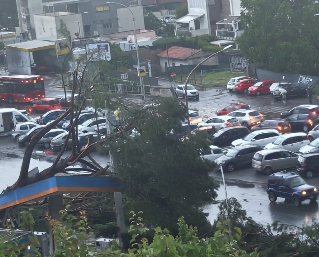 Tromba d’aria su Roma: alberi sradicati e quartieri paralizzati (foto e ...
