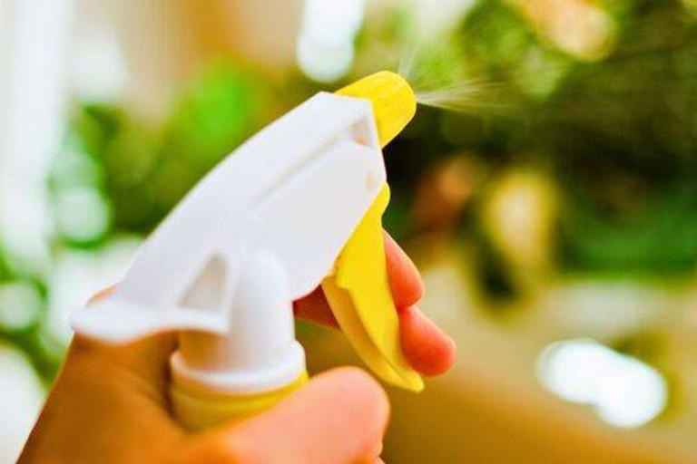 Keep houseflies away this summer with natural kitchen ingredient