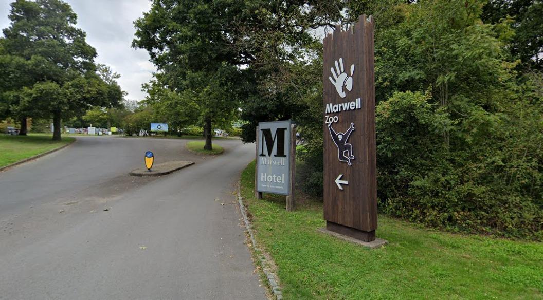 Marwell Zoo to close Cafe Graze for 'exciting transformation' with a ...