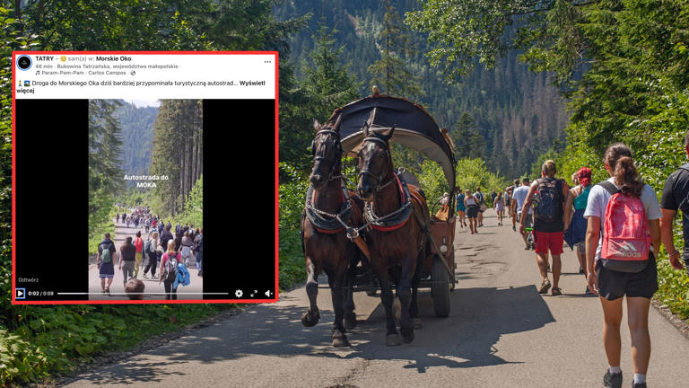 Pokazali nagranie z trasy nad Morski Oko. "Zero przyjemności"
