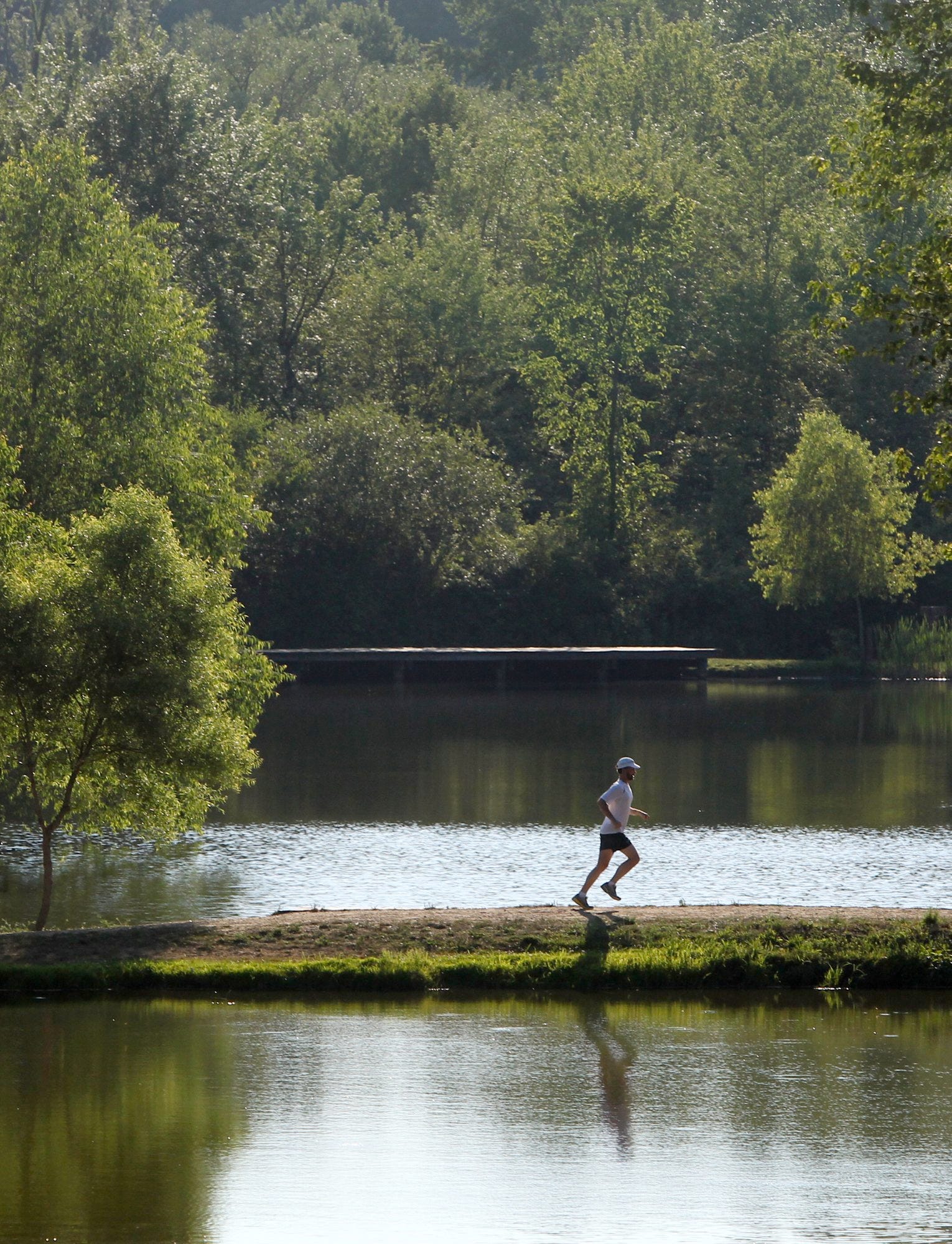 Fishing derbies set at Firestone Metro Park's Little Turtle Pond