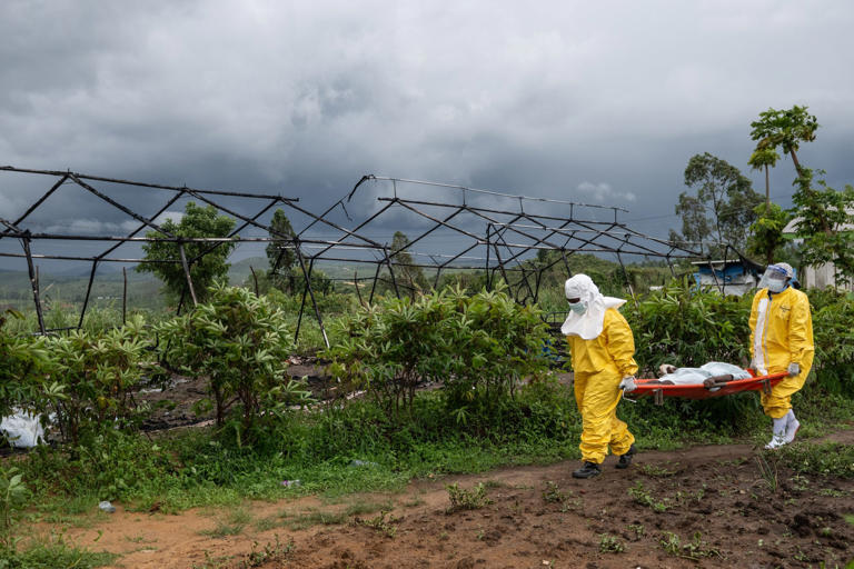 Can deforestation predict Ebola outbreaks? Q&A with CDC’s Carson Telford