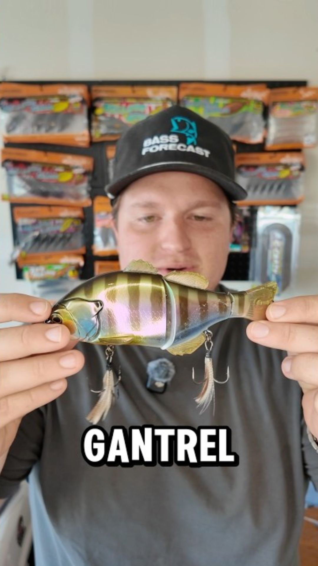 Best fishing lures for catching big bass in June