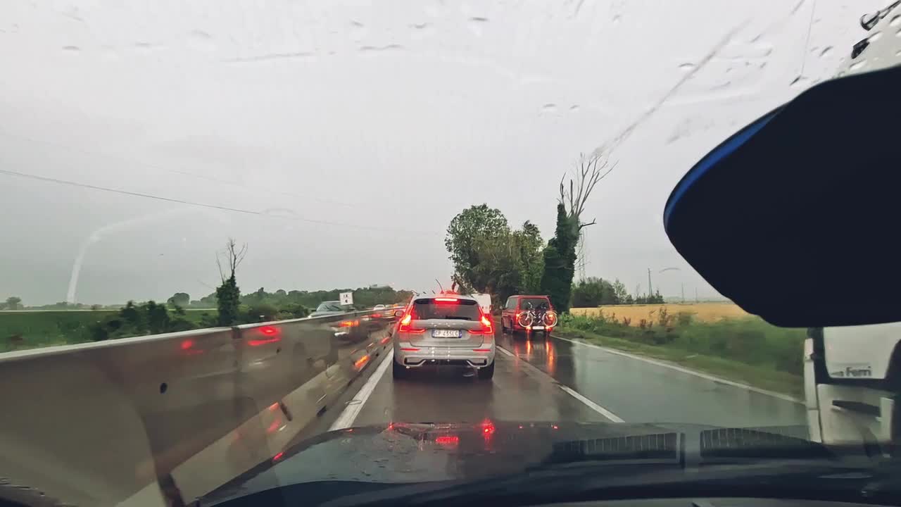 Motorists forced to squeeze past tree after storm brings it down onto ...