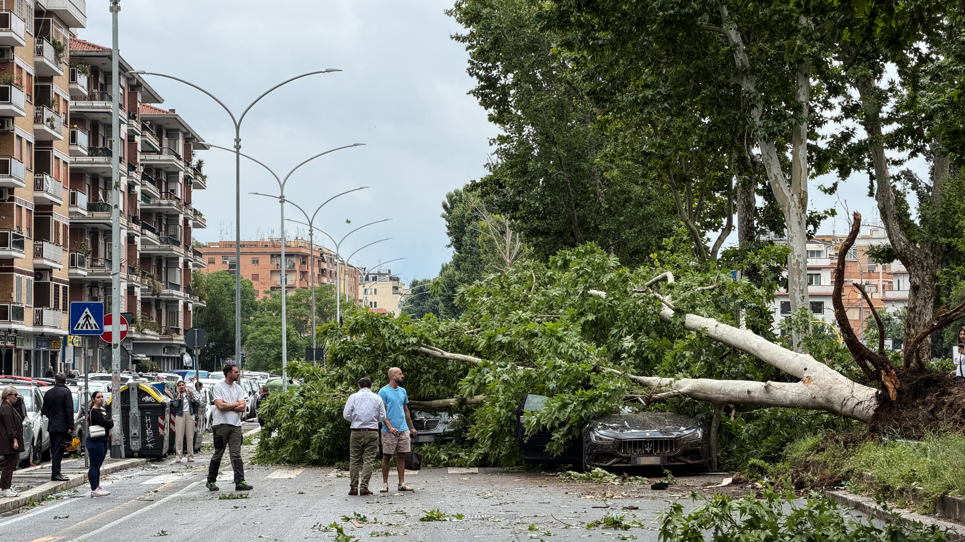 Maltempo: tromba d'aria a Roma, alberi caduti e traffico in tilt