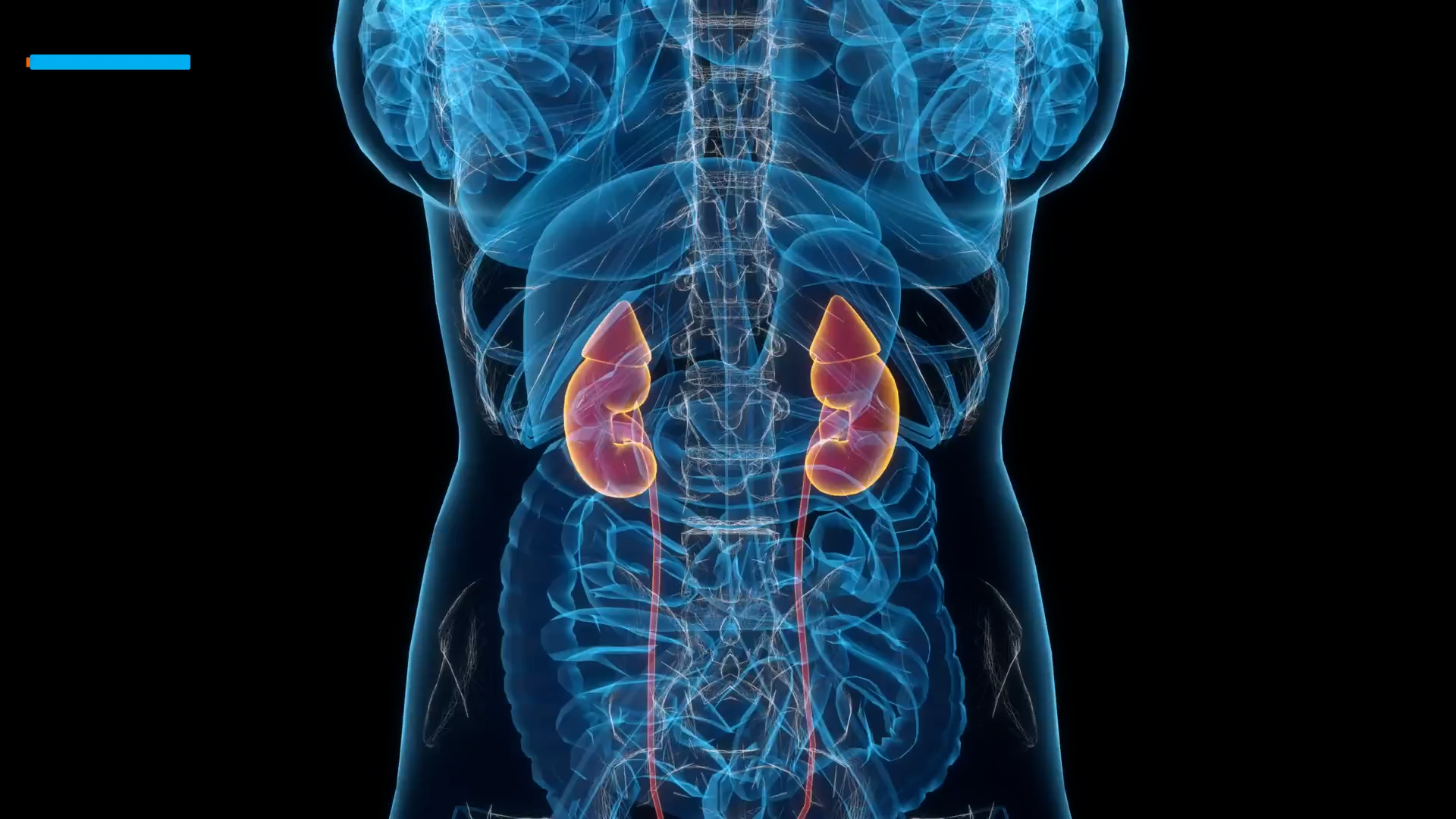 The kidney numbers Dr. Pandeya checks before recommending a specialist ...