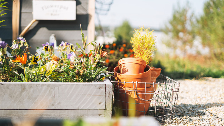 These 5 everyday kitchen items can be repurposed in your garden