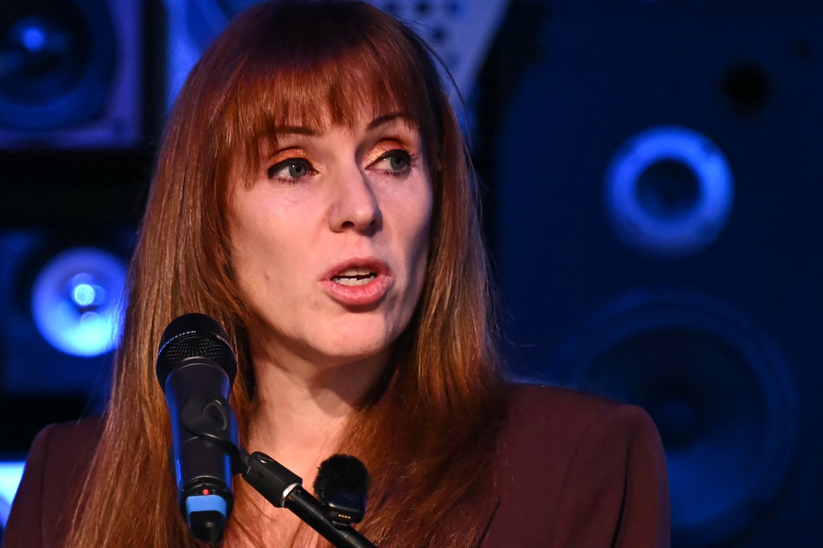 Rayner blasts Reform UK candidate as Farage’s ‘sexist puppet’