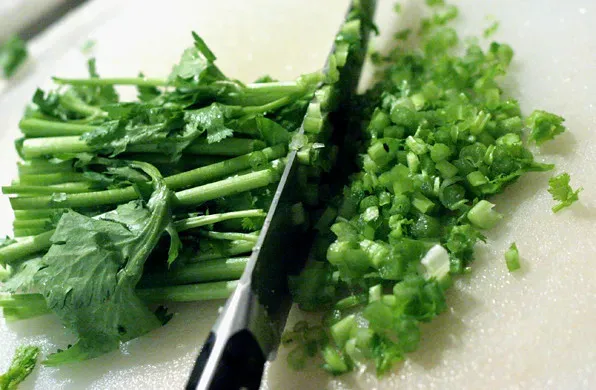 My aunt warned me never to throw away cilantro stems - now I understand why