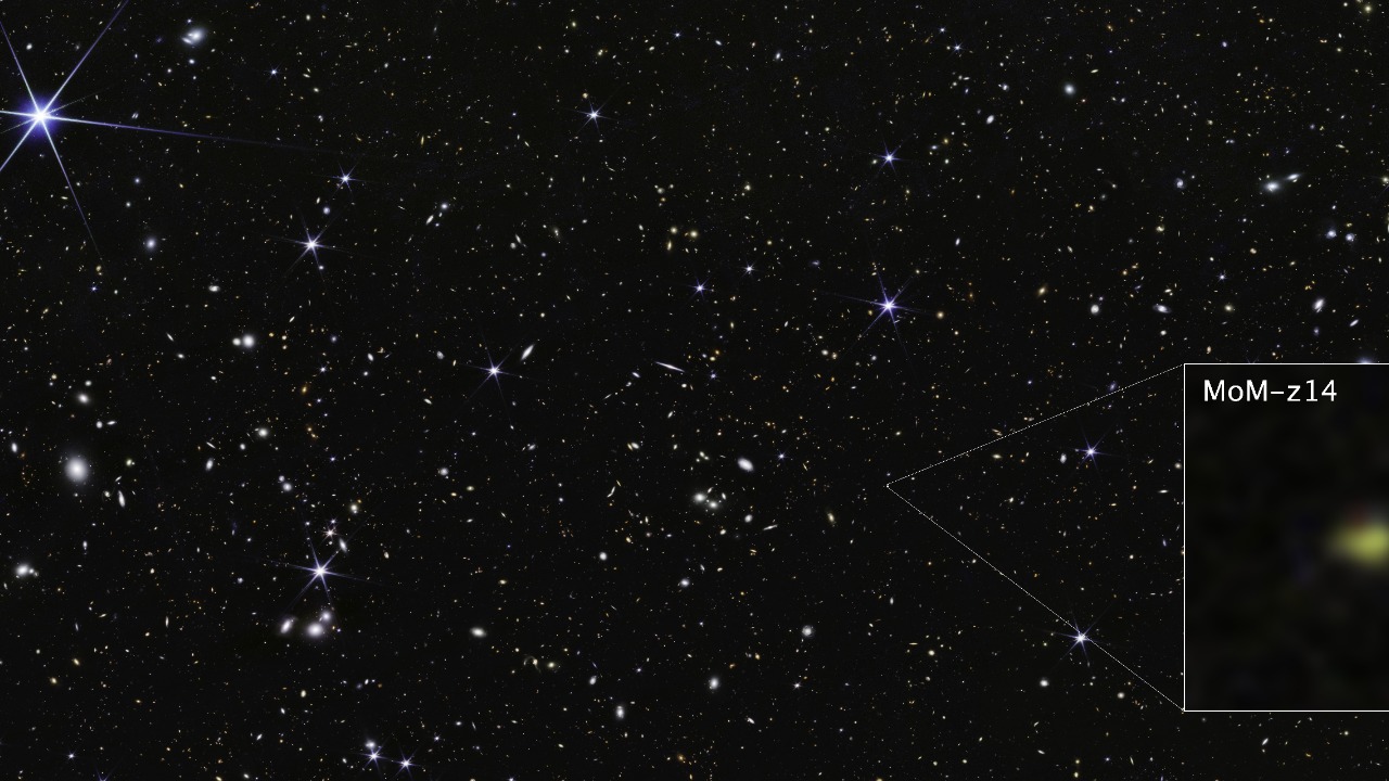 NASA’s Webb just confirmed MoM-z14 as the most distant galaxy ever ...