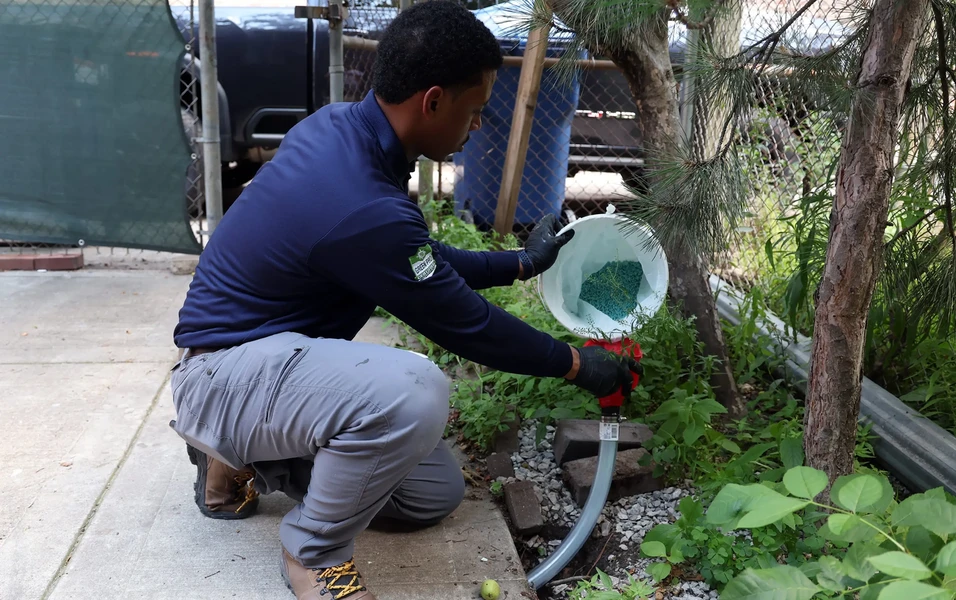 Smart pest control tips every homeowner should know