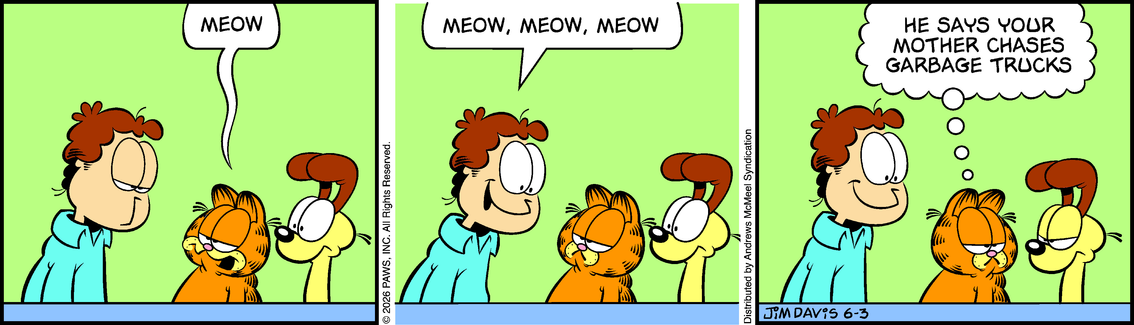 Garfield by Jim Davis