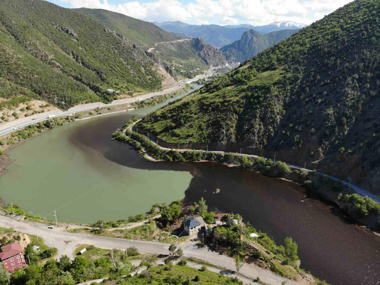 Torul Baraj Gölü’nde alg patlaması, suyun yüzeyi koyulaştı